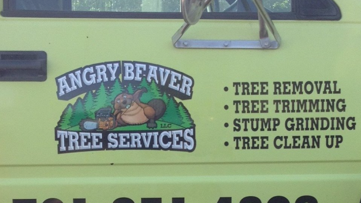 beaver tree service