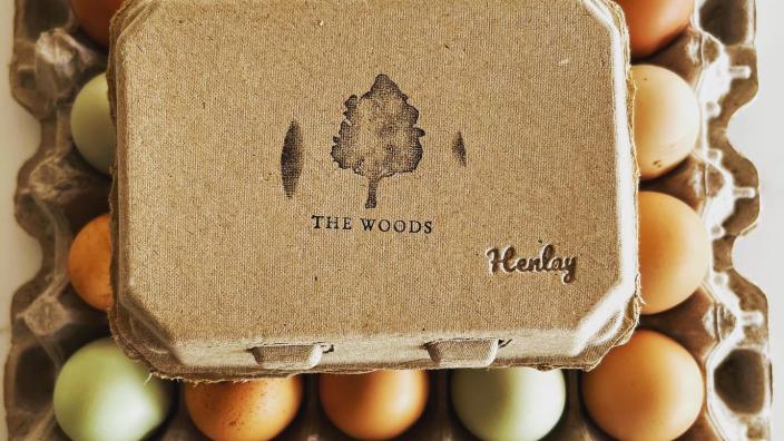 woods eggs