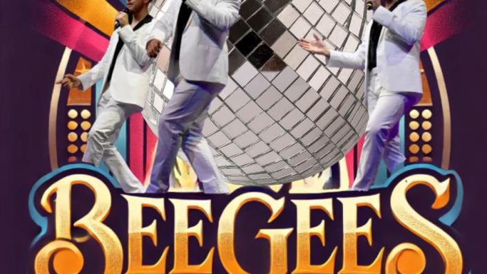 Logo Dei Bee Gees Brothers Gibb Bee Gees & Andy Gibb Story