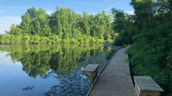 regular square harvest