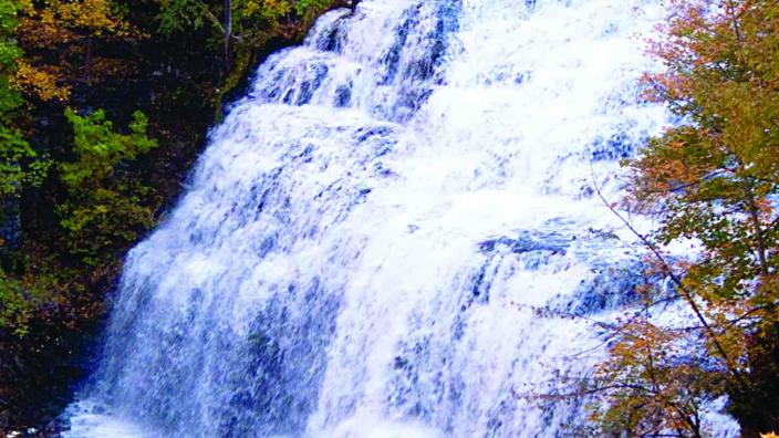 forest falls directions