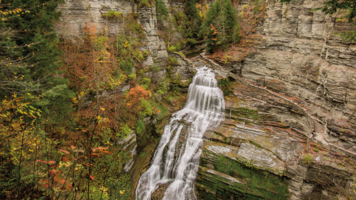 treman state falls