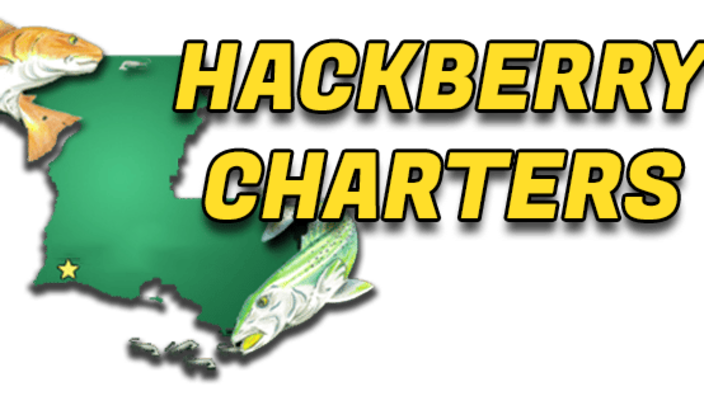 hackberry logo