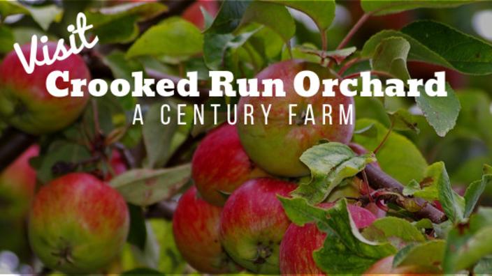 crooked line farm and orchard