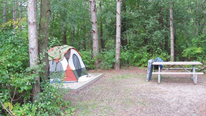 thomas mitchell park camping