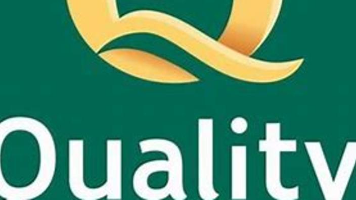 quality inn logo vector