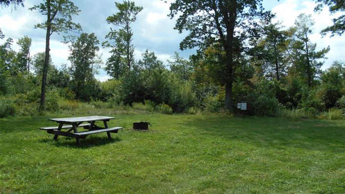 delaware state forest animals