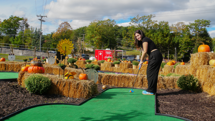 mini golf ballymena
