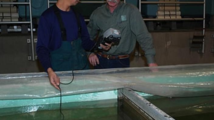 affcot hatchery