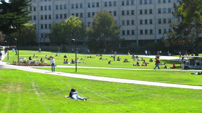 Sf State University Update On San Francisco State Athletics