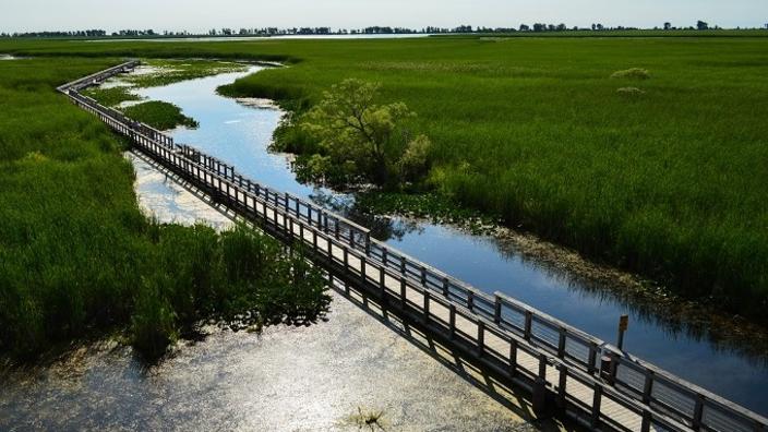 Point Pelee National Park Nationaal Park Point Pelee In Leamington