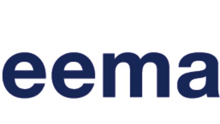 Eema Logo Wizcraft International Took Home 12 Accolades At The EEMA 10