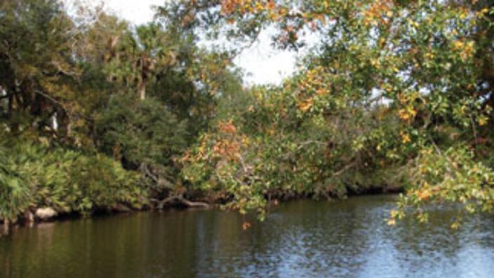 Sebastian River Preserve State Park Indian River Lagoon Preserve State