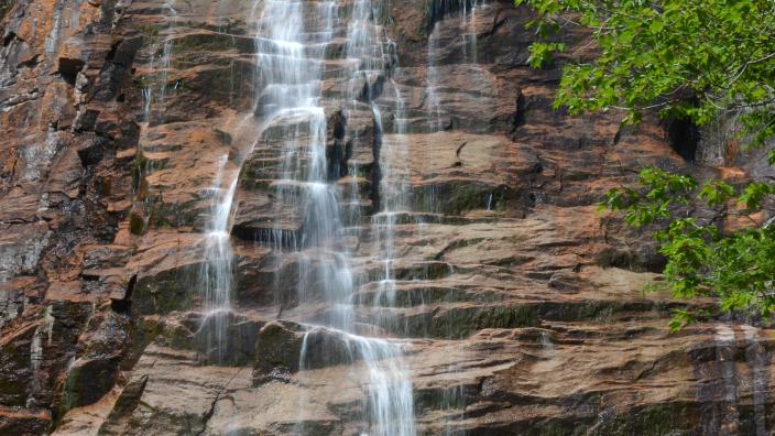 arethusa spring hill