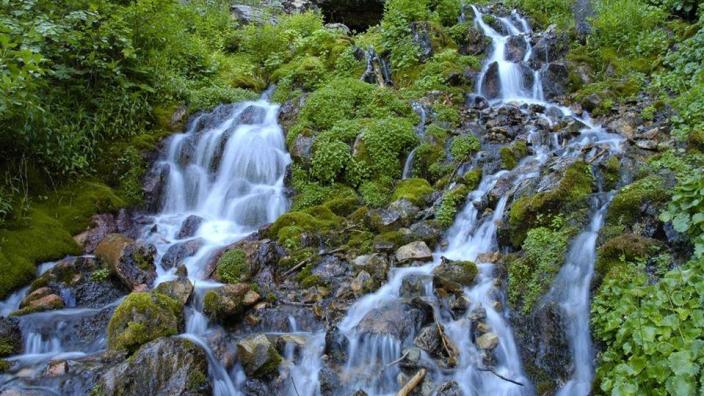 intermittent riverine