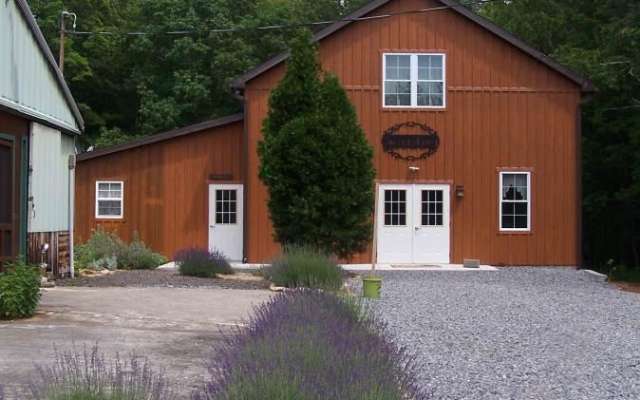 beagle ridge lavender