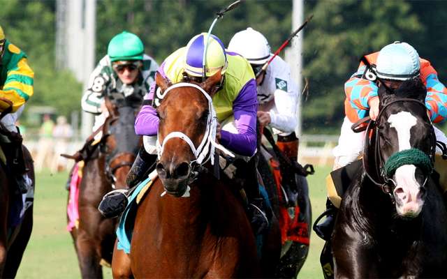 zebra racing colonial downs