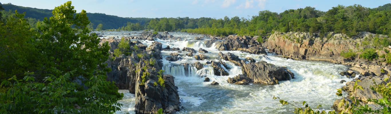 The Best Neighborhoods to Live in Virginia | BoxStar Movers