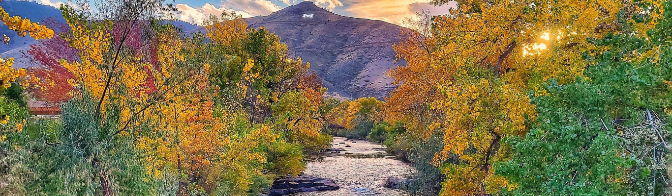 colorado fall