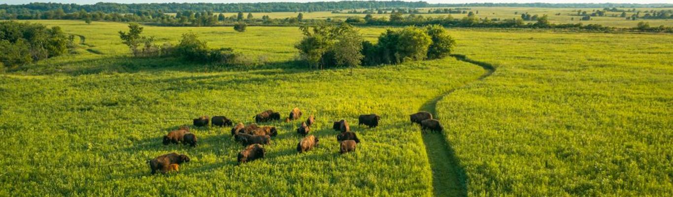 Prairie State Park Missouri 19 Most Beautiful Places To Visit In