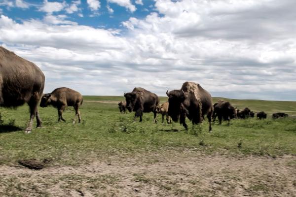 Visit Cheyenne, Wyoming