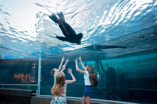 What's New at the Columbus Zoo