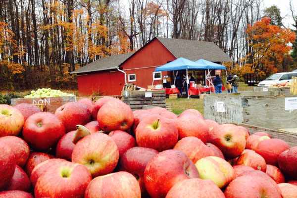 Pick Your Own Apple Orchards in PA