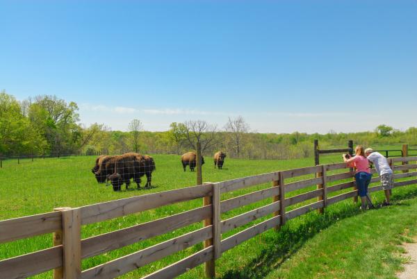 Columbus Spring Date Ideas