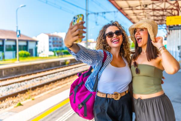 what does dmo dmo mean