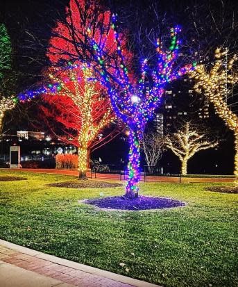 Delaware Holiday Lights