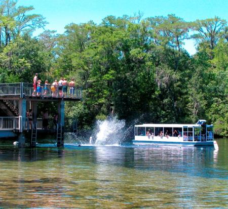 Top 10 Florida Boat Tours & Cruises