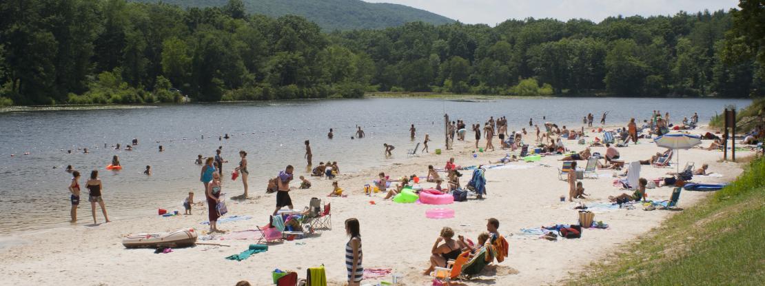 Staying Cool at Laurel Lake