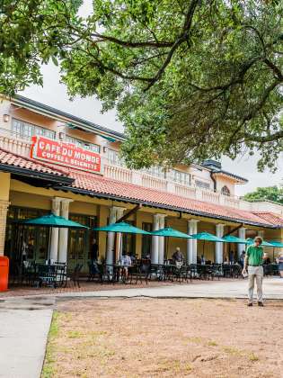 Guide to New Orleans City Park