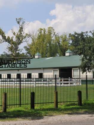 New Orleans Horseback Riding