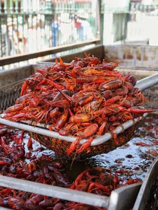 Best Boiled Crawfish in New Orleans: Top Spots & Local Favorites ...