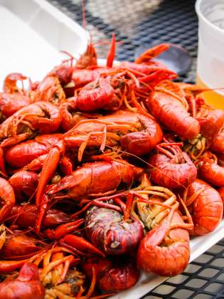 Crawfish