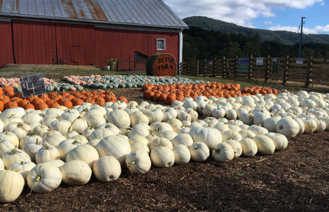 Virginia's Blue Ridge Blog - Roanoke, VA