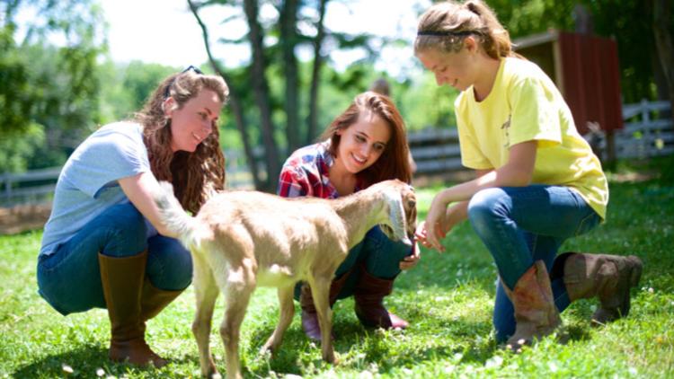 Experience Life on the Farm Near Indianapolis