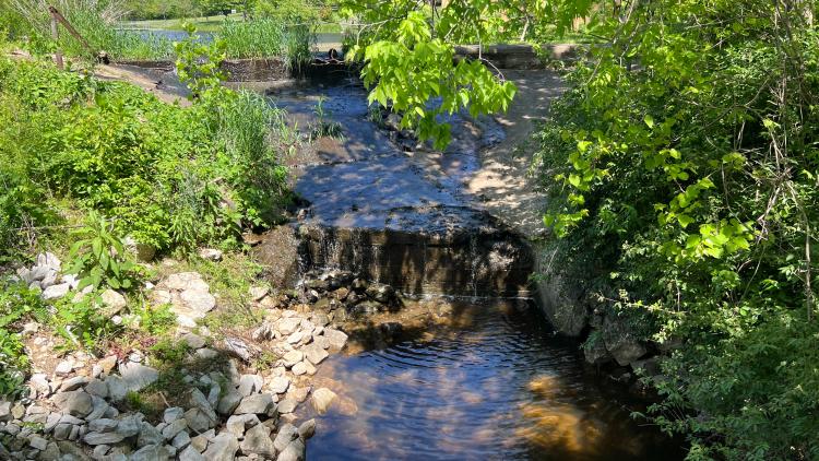 Echo Hollow Nature Park in Plainfield | New Name & Changes