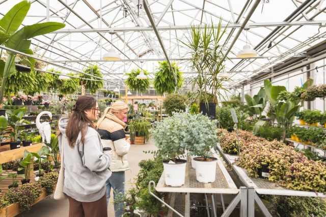 spring garden centre