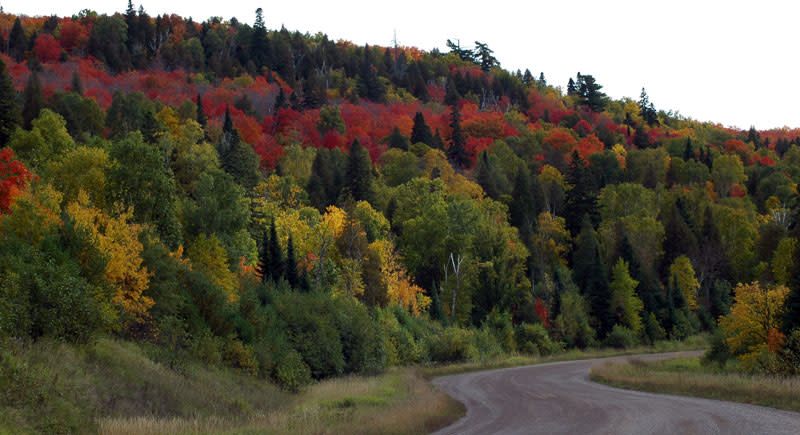 Ely, Minnesota: Top Areas for Scenic Fall Color