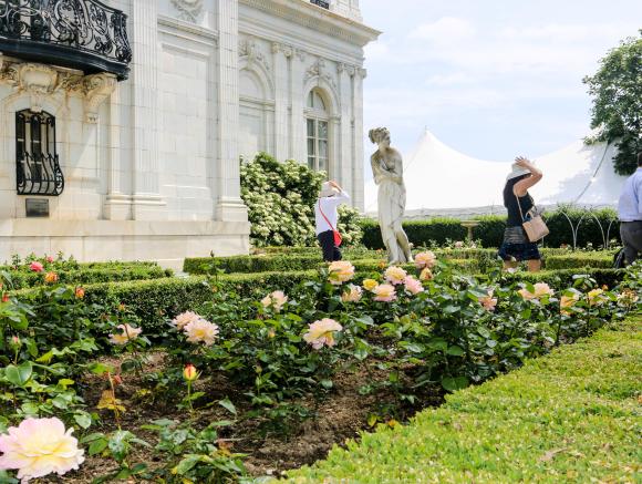 Newport Flower Show | Discover Newport, Rhode Island
