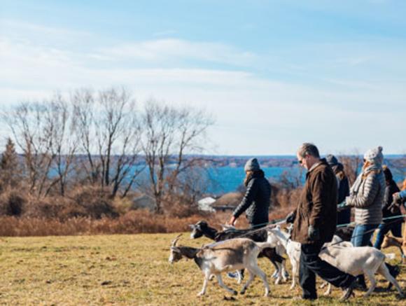 Things To Do in Newport This February | Discover Newport, Rhode Island