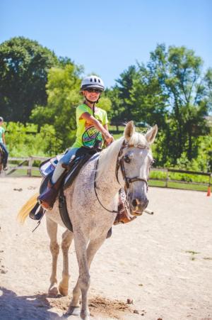 Have a Field Day: Farm Experiences in the Rockford Region