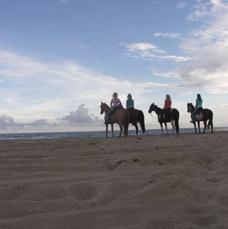 Things to Do in the Outer Banks | Attractions, Events