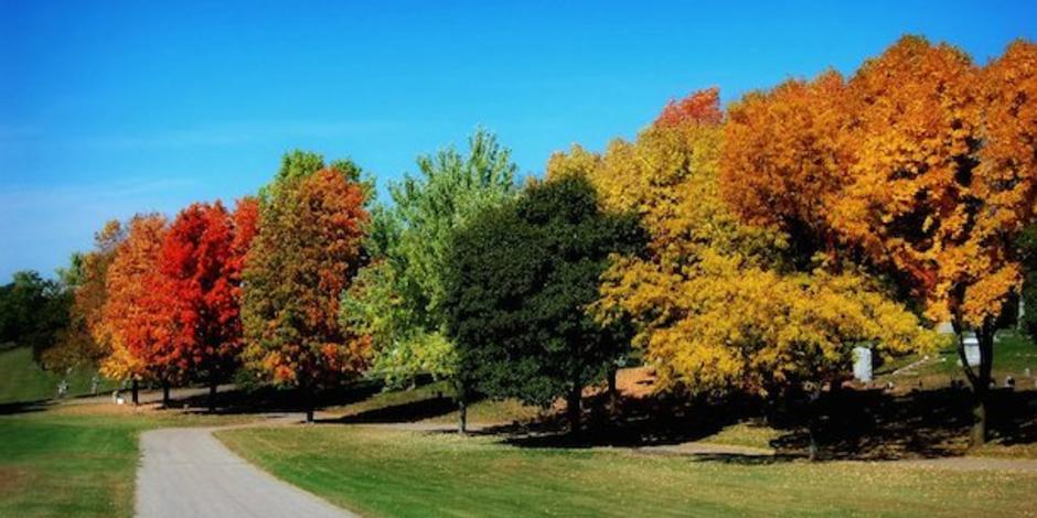 Eau Claire in the Fall | Scenic Views of the Fall Foliage