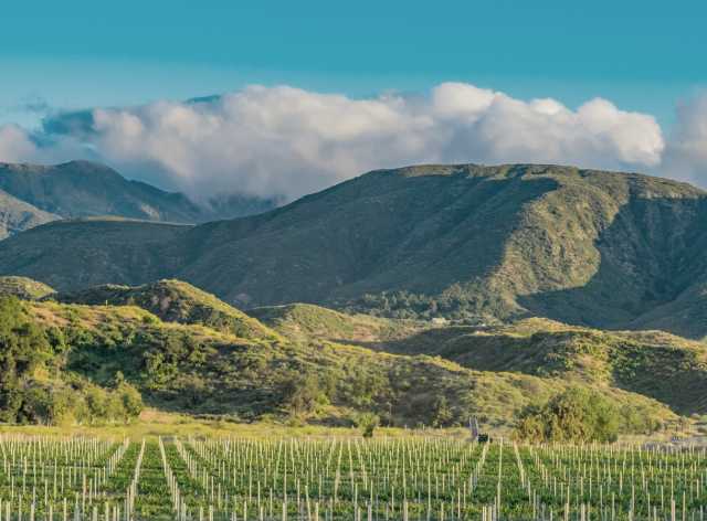 Temecula Weather History