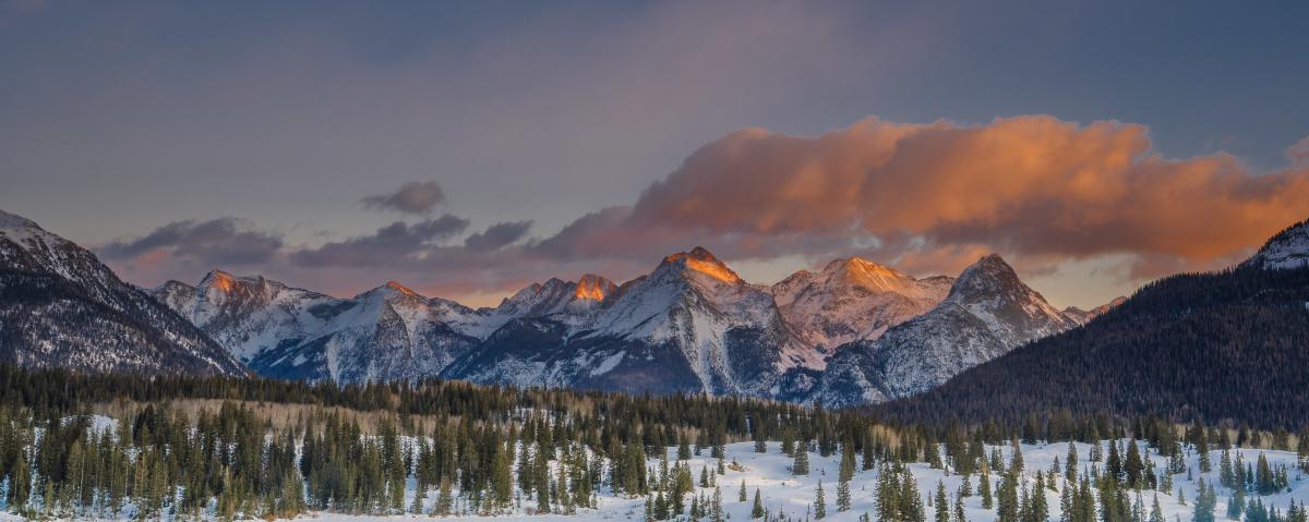 Unleash Winter Adventure: Dog Sledding in Durango, Colorado