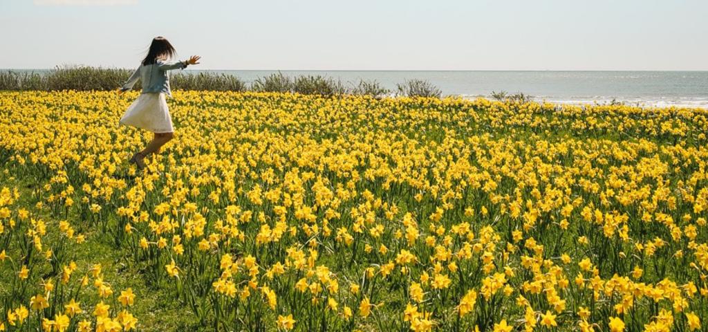 UPDATED Springtime Happenings in Newport, Rhode Island