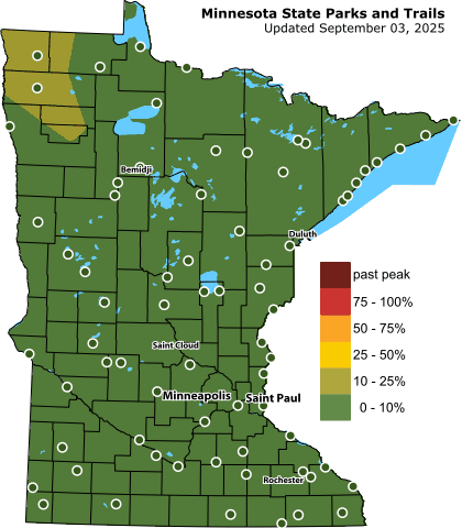 Fall Color Report on the North Shore and Gunflint Trail | 2021 ...